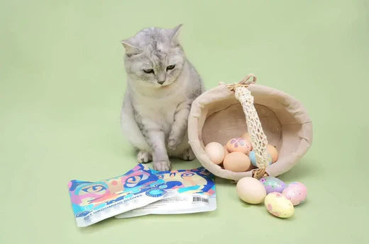 cat egg basket
